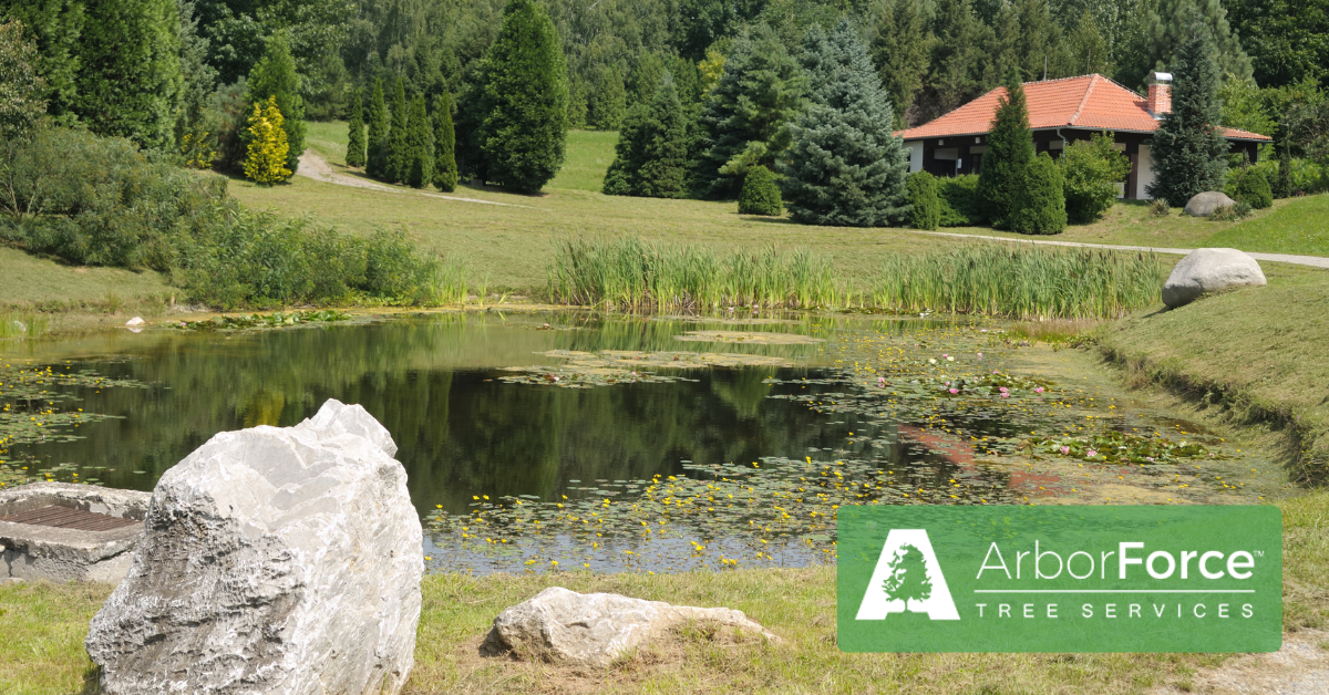 Retention Pond Tree Maintenance: Protecting Your Property and Waterways